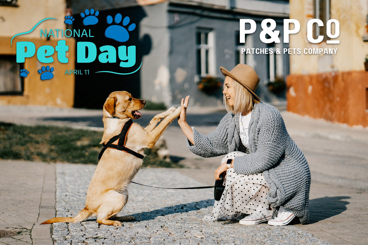 10 Ways to Make Your Dog Feel Extra Loved on National Pet Day – Patches & Pets Dog Hats For Humans